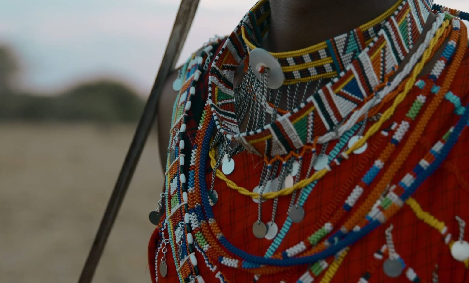 The Science Behind Why We See Color - How Does it Work? - Jump Story