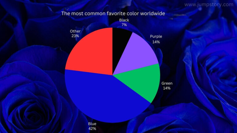 The Science Behind Why We See Color - How Does it Work? - Jump Story