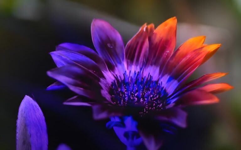 The Science Behind Why We See Color - How Does it Work? - Jump Story