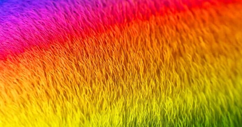 The Science Behind Why We See Color - How Does it Work? - Jump Story